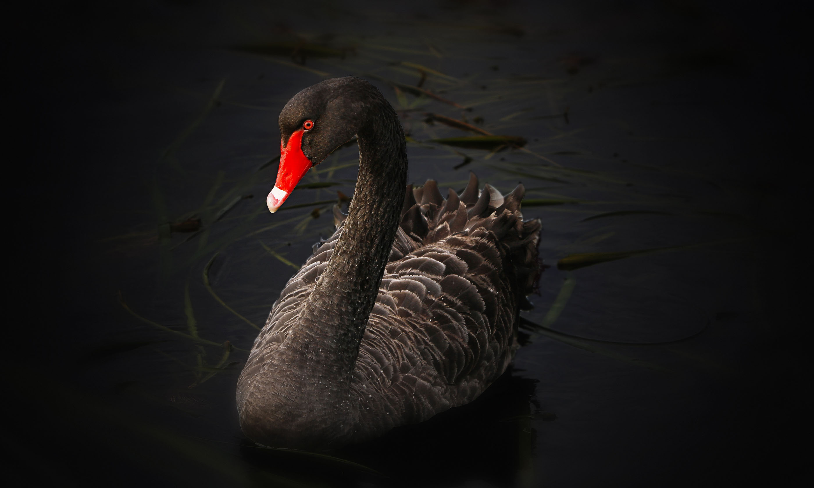 Sitio oficial de Ricardo Salinas